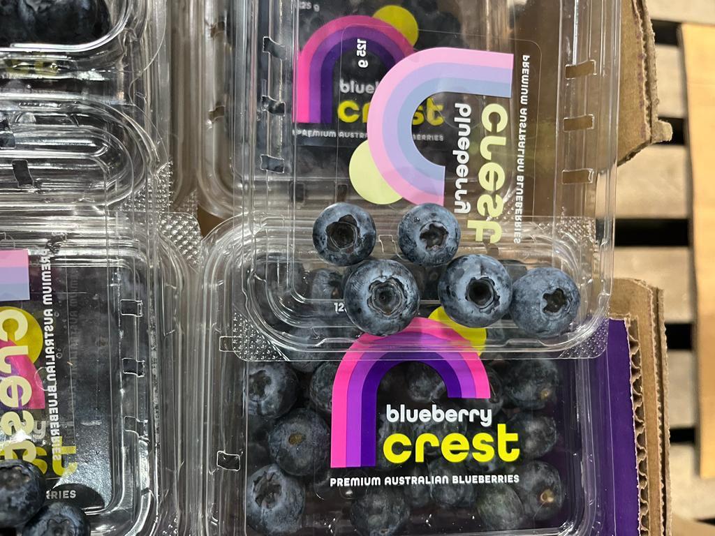 Blueberry - 1.5kg – Produce Art