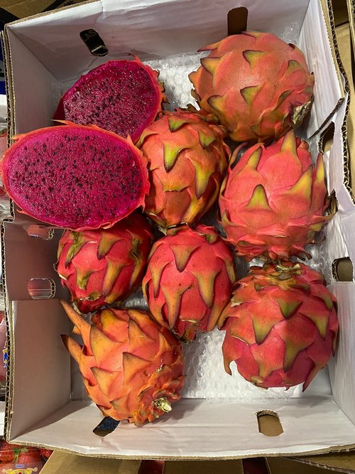 Dragon Fruit - Magenta – Produce Art