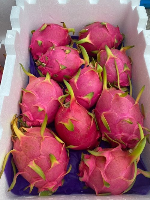 Dragon Fruit - Pink Lemonade – Produce Art