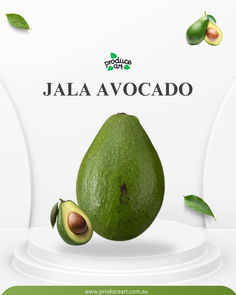 Avocado - Jala – Produce Art