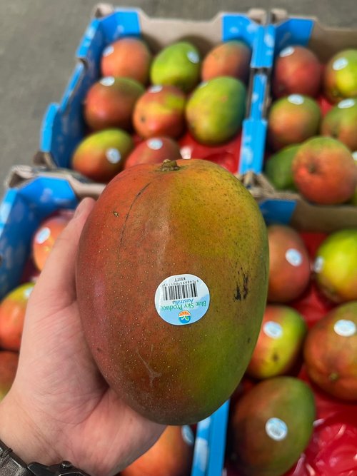 Mango - Keitt – Produce Art