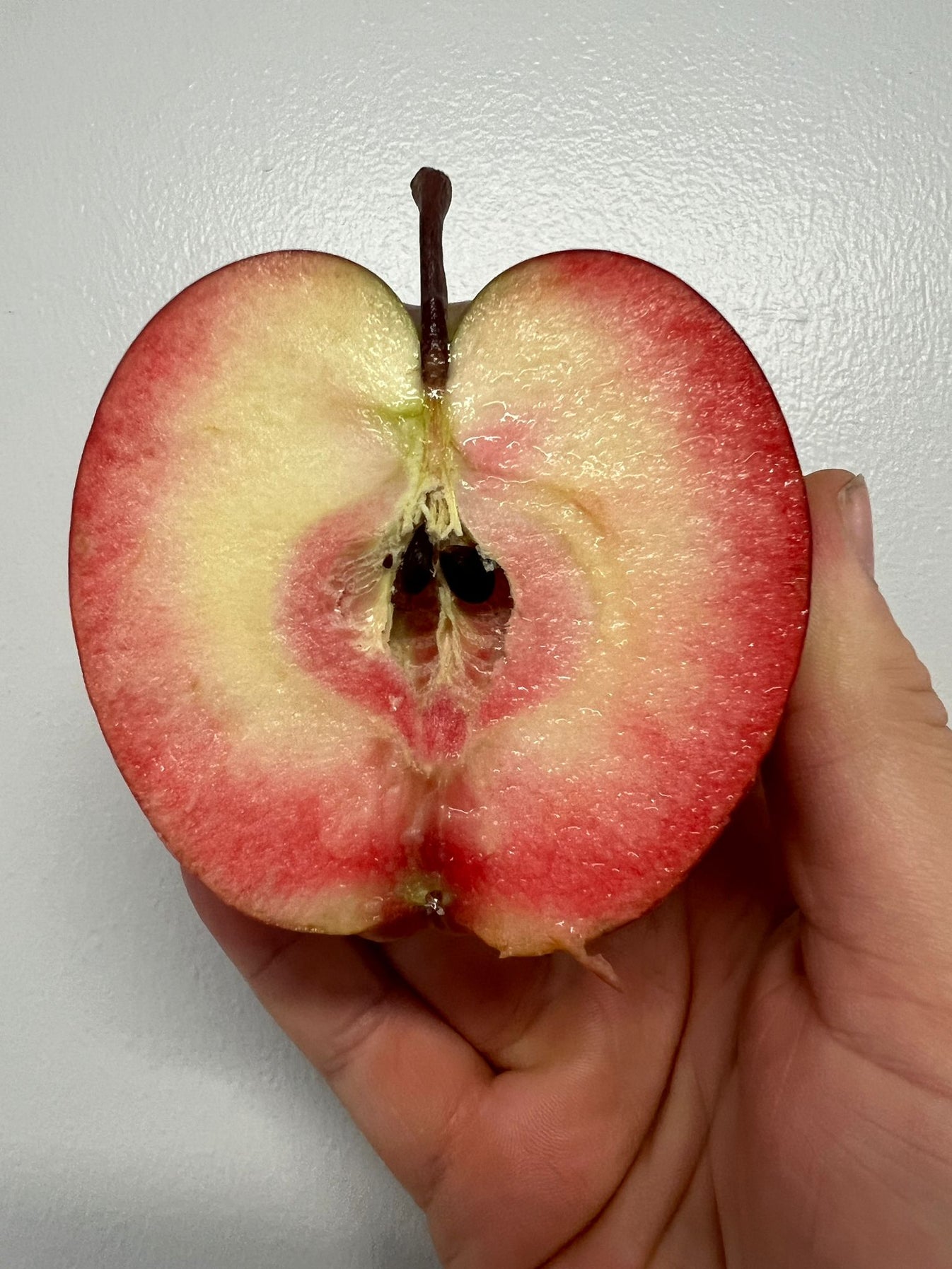 Apple - Kissabel – Produce Art
