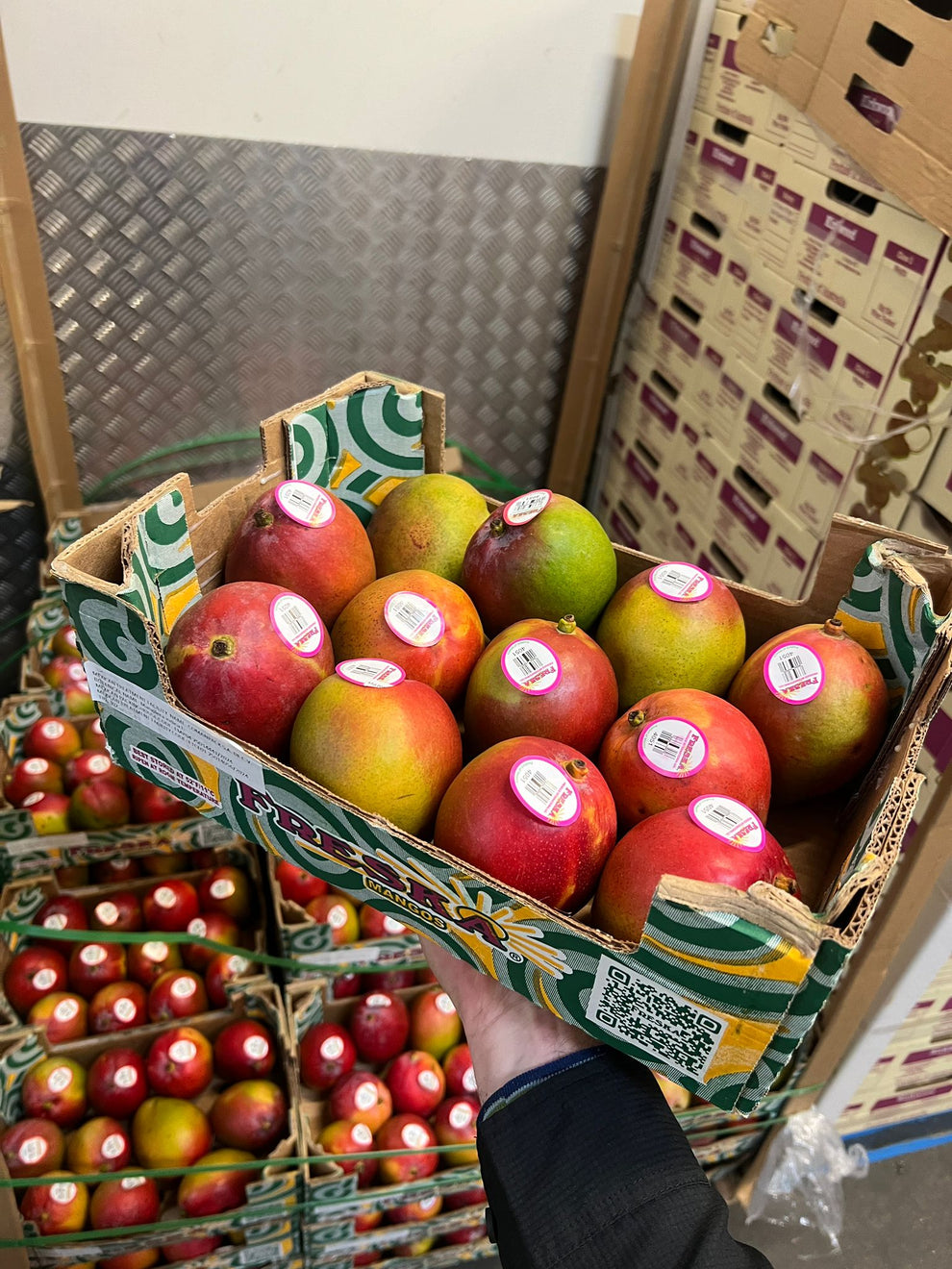 Mango - Tommy Atkins – Produce Art