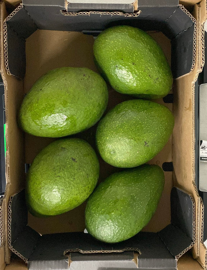 Avocado - Jala – Produce Art