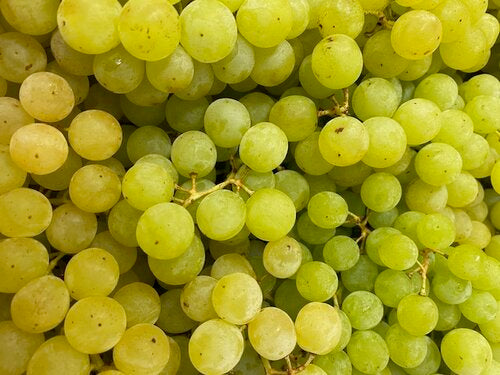 GRAPES - MUSCATO – Produce Art